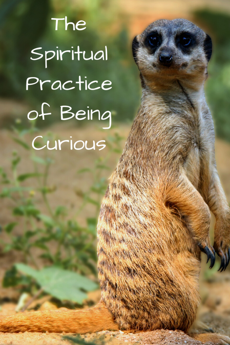 The Spiritual Practice of Being Curious | Healthy Spirituality