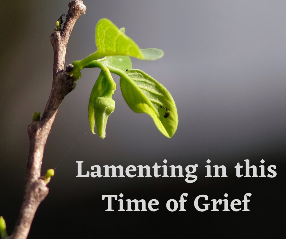 Lamenting in this Time of Grief | Healthy Spirituality