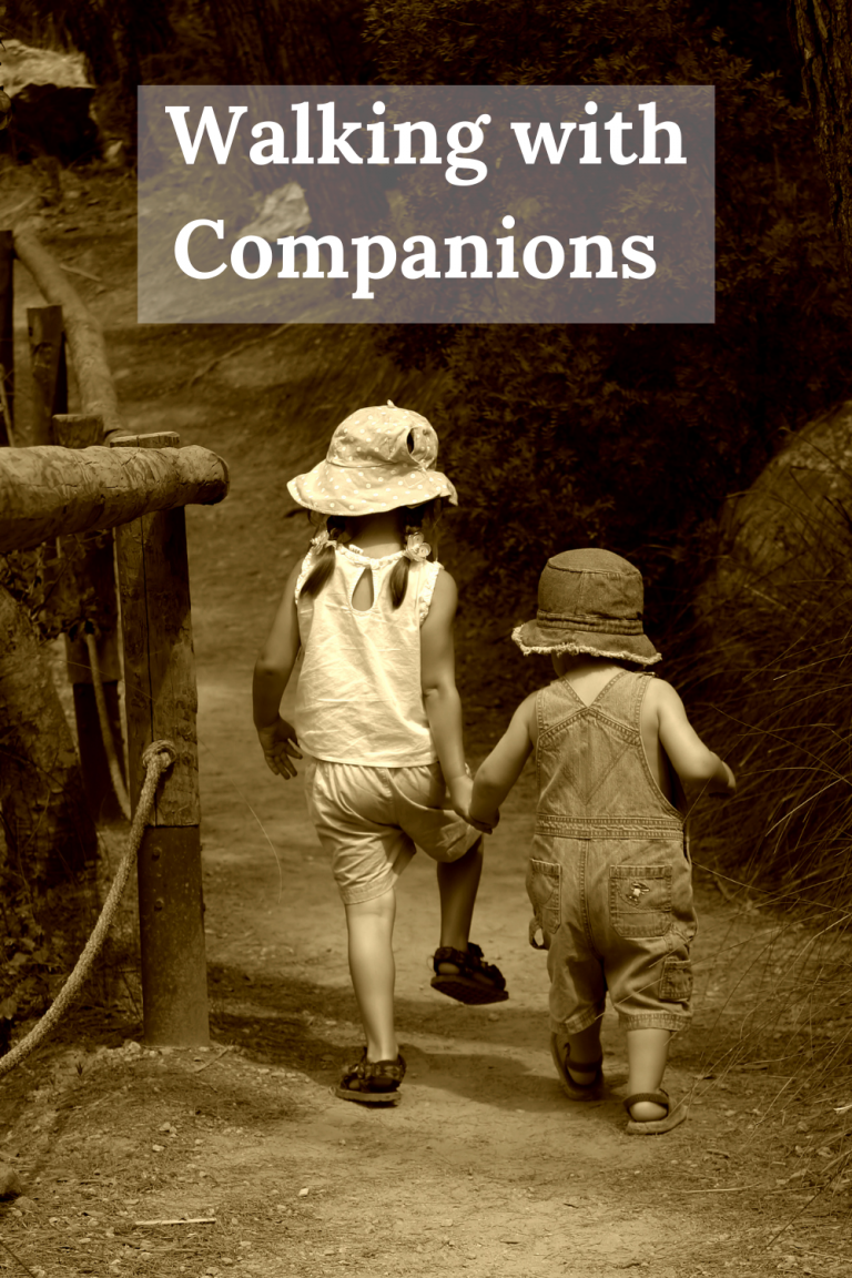 Walking with Companions from the Great Cloud of Witnesses | Healthy ...