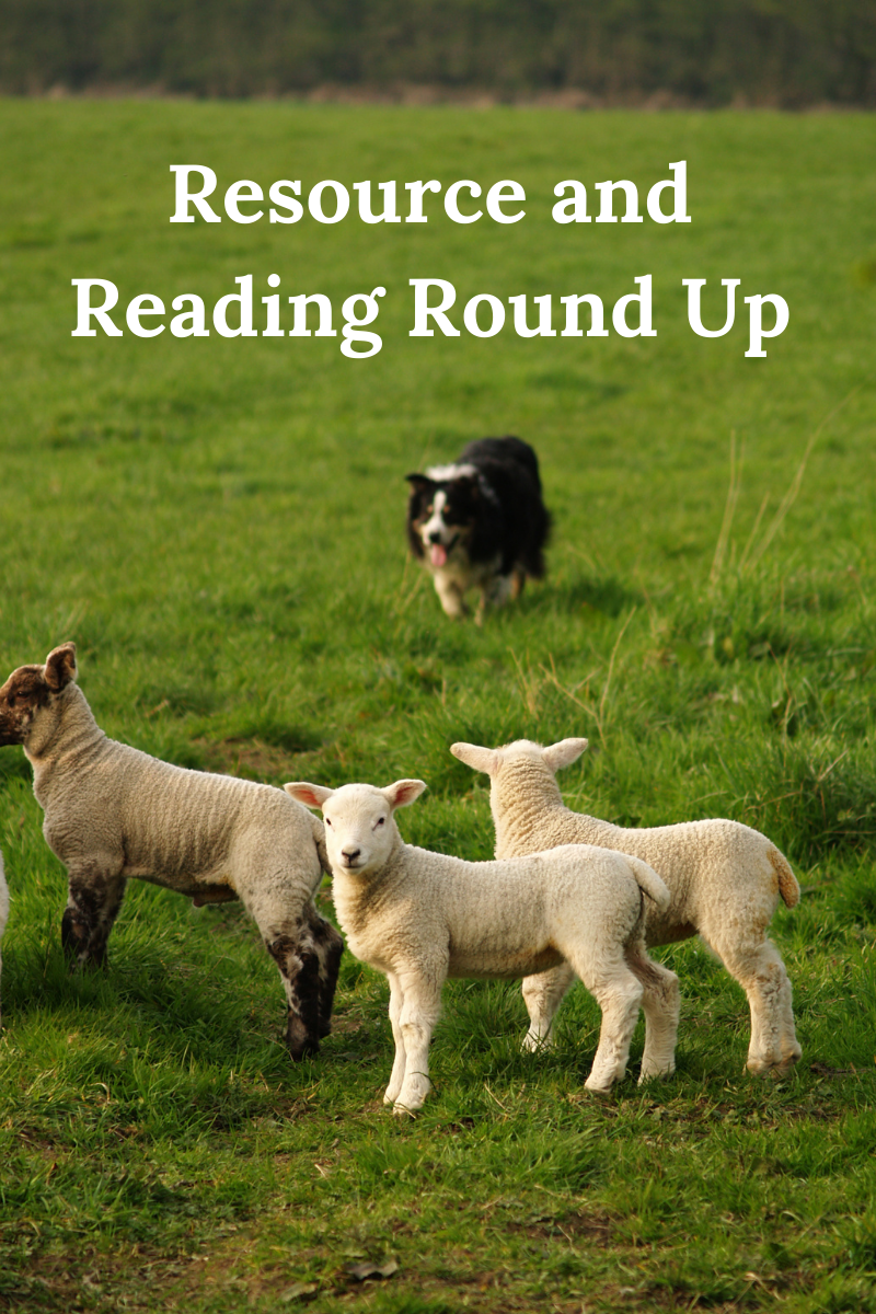 Resource and Reading Round Up | Healthy Spirituality