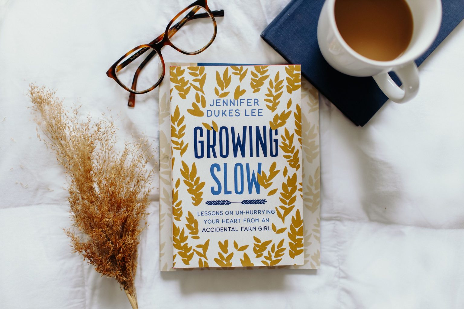 Books Ready to be Read | Healthy Spirituality