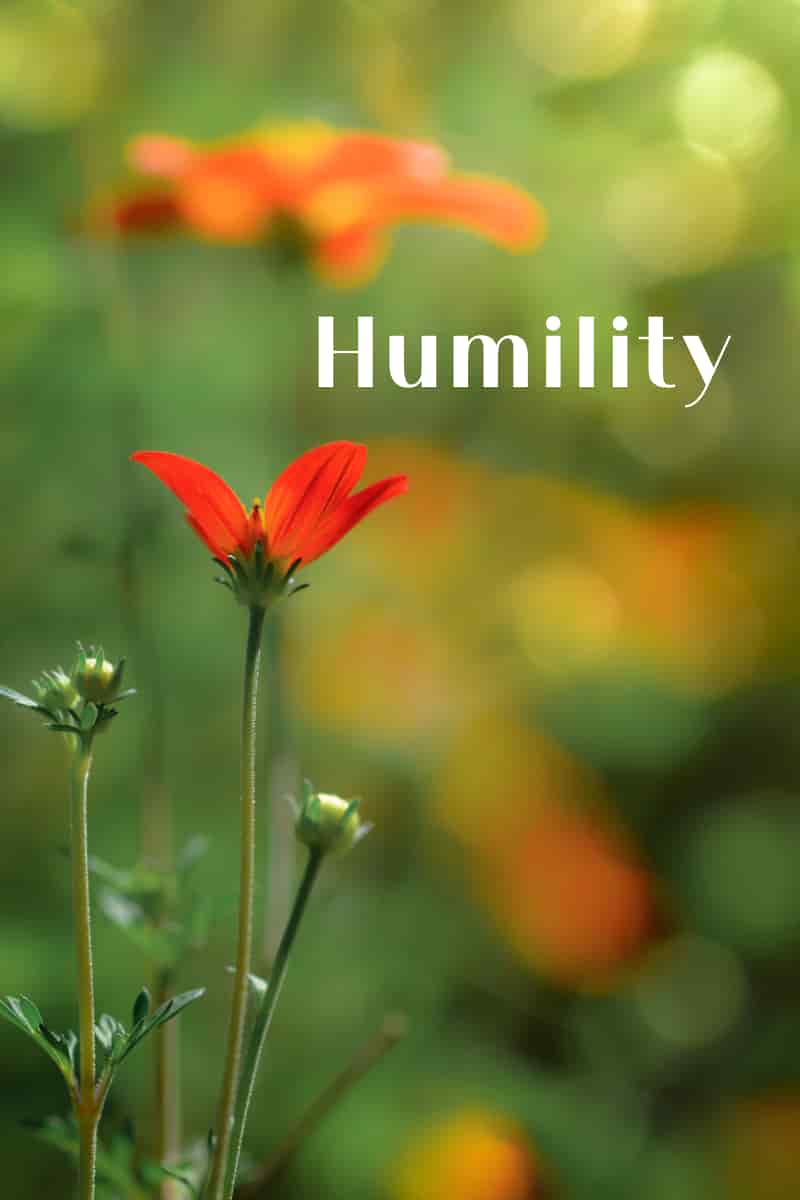 Pondering the Pillars of a Healthy Spirituality - Humility | Healthy ...