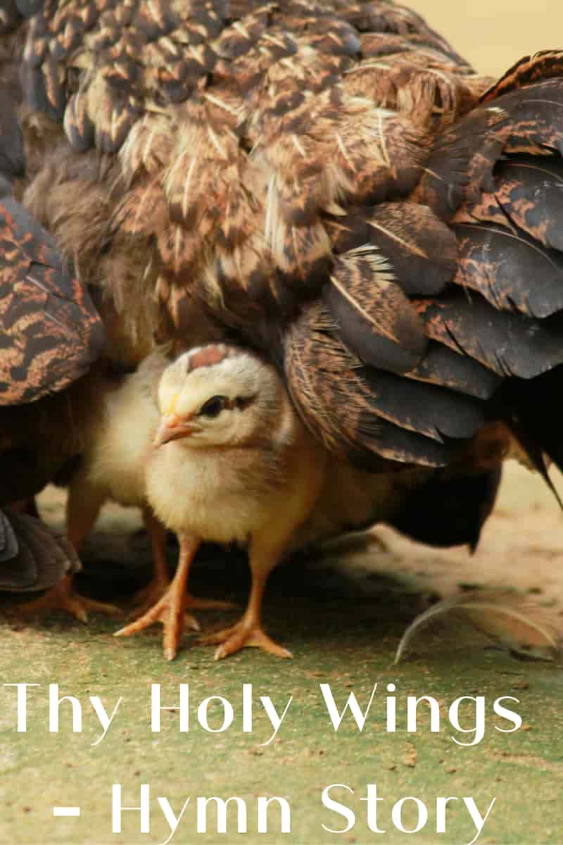 Thy Holy Wings – Hymn Story | Healthy Spirituality