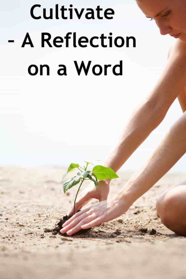 Cultivate – A Reflection on a Word | Healthy Spirituality