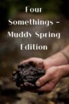 Four Somethings – Muddy Spring Edition | Healthy Spirituality