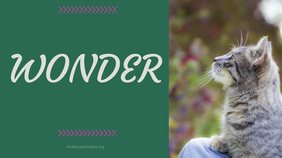 Do You Wonder about Wonder? - Healthy Spirituality